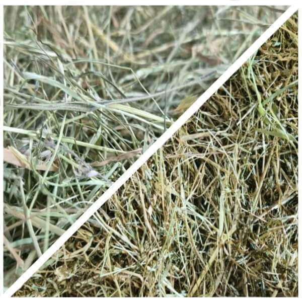 Heu 1. Schnitt vs. 2. Schnitt – Die wichtigsten Unterschiede – Ems ...